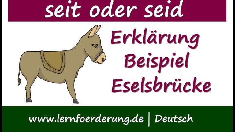 Seit, seid und die Eselsbrücke: Unterschiede und Beispiele